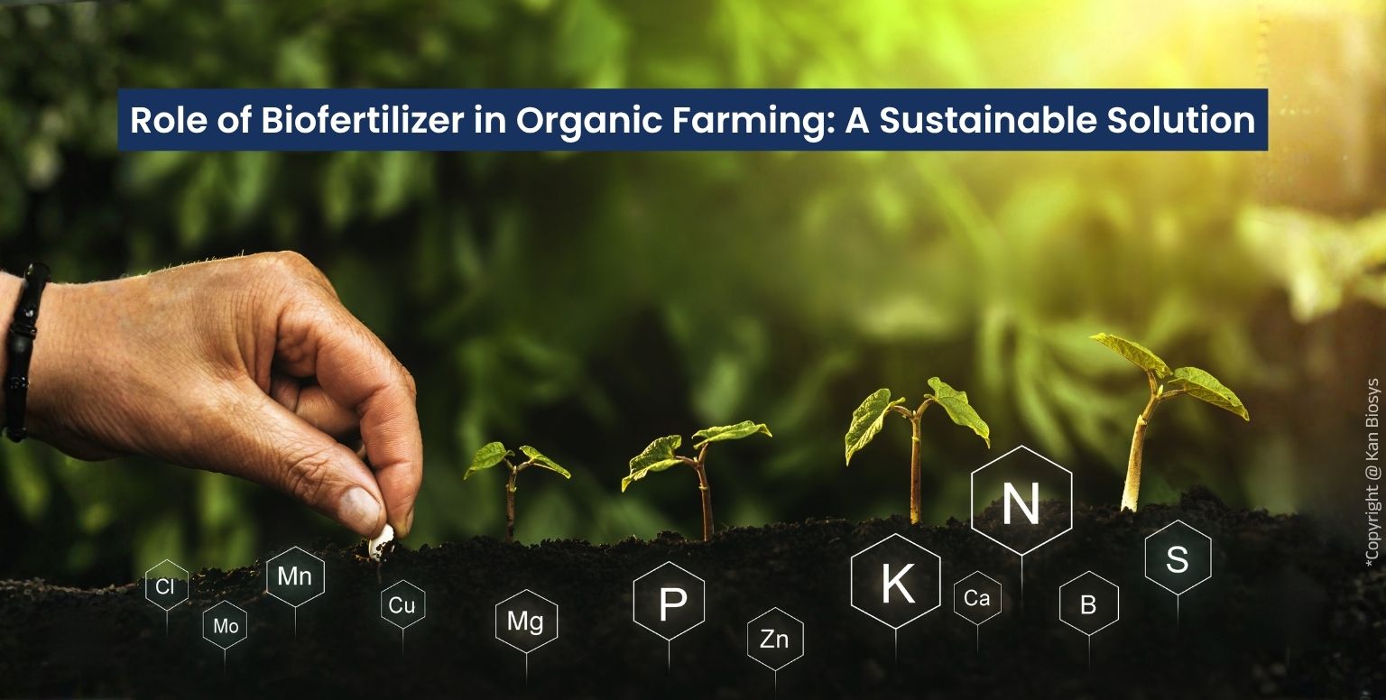 Role of Biofertilizer in Organic Farming for Soil Health | Kan Biosys